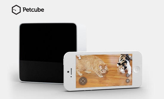 หน้าเทศกาลถึงอยู่นอกบ้านก็ดูแลน้องหมาน้องแมวได้ด้วย Petcube