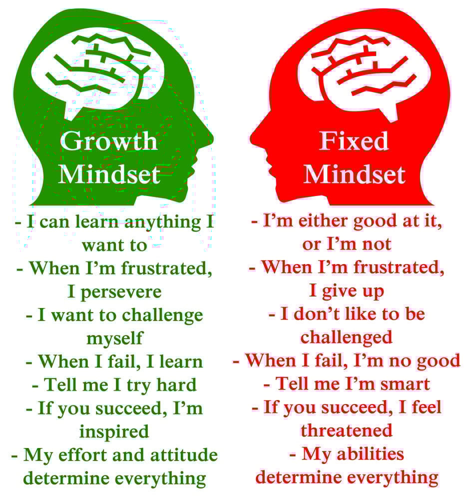 Fixed Mindset & Growth Mindset กรอบแนวคิด 2 แบบที่คุณเลือกได้