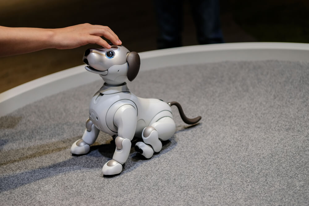 ทำความรู้จักกับ หุ่นยนต์ AIBO และ PARO ผู้ช่วยที่ดีในชีวิตประจำวัน